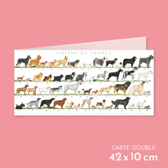 Carte double illustrée - Chiens de France - Collection Chiens - Longue-vue