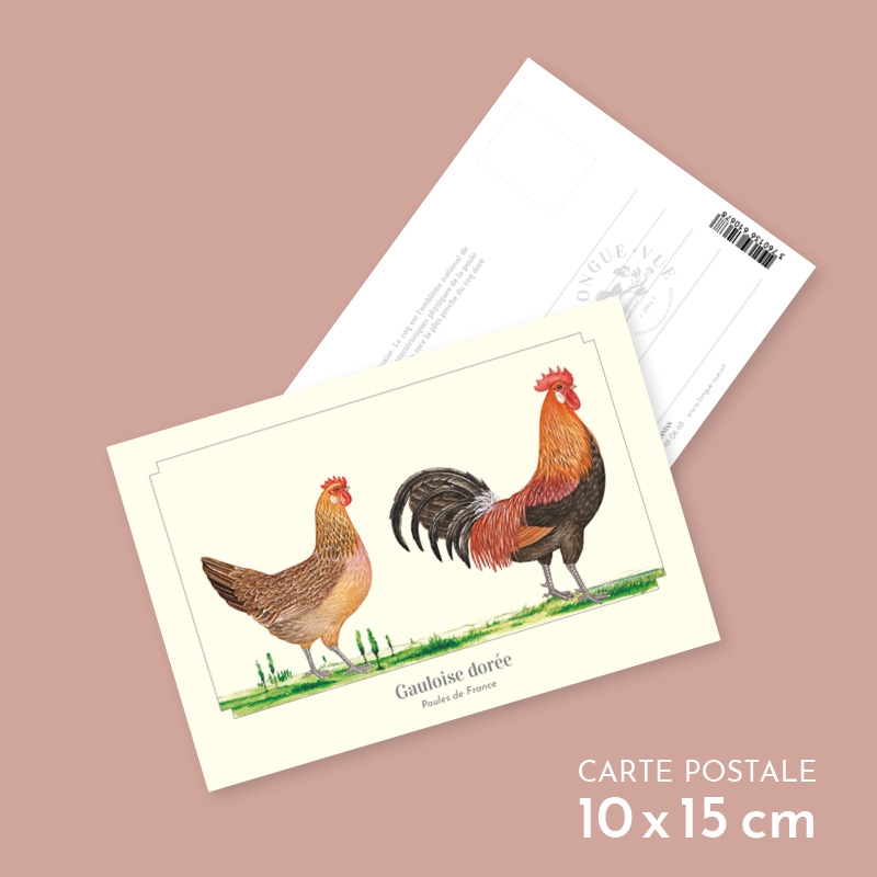 Carte postale illustrée - Gauloise dorée - Collection Poules - Longue-vue