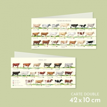 Carte double illustrée - Vaches de France - Collection Vaches - Longue-vue